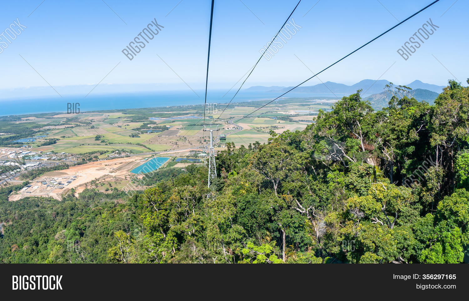 Tropical Jungle Cable Image & Photo (Free Trial) | Bigstock