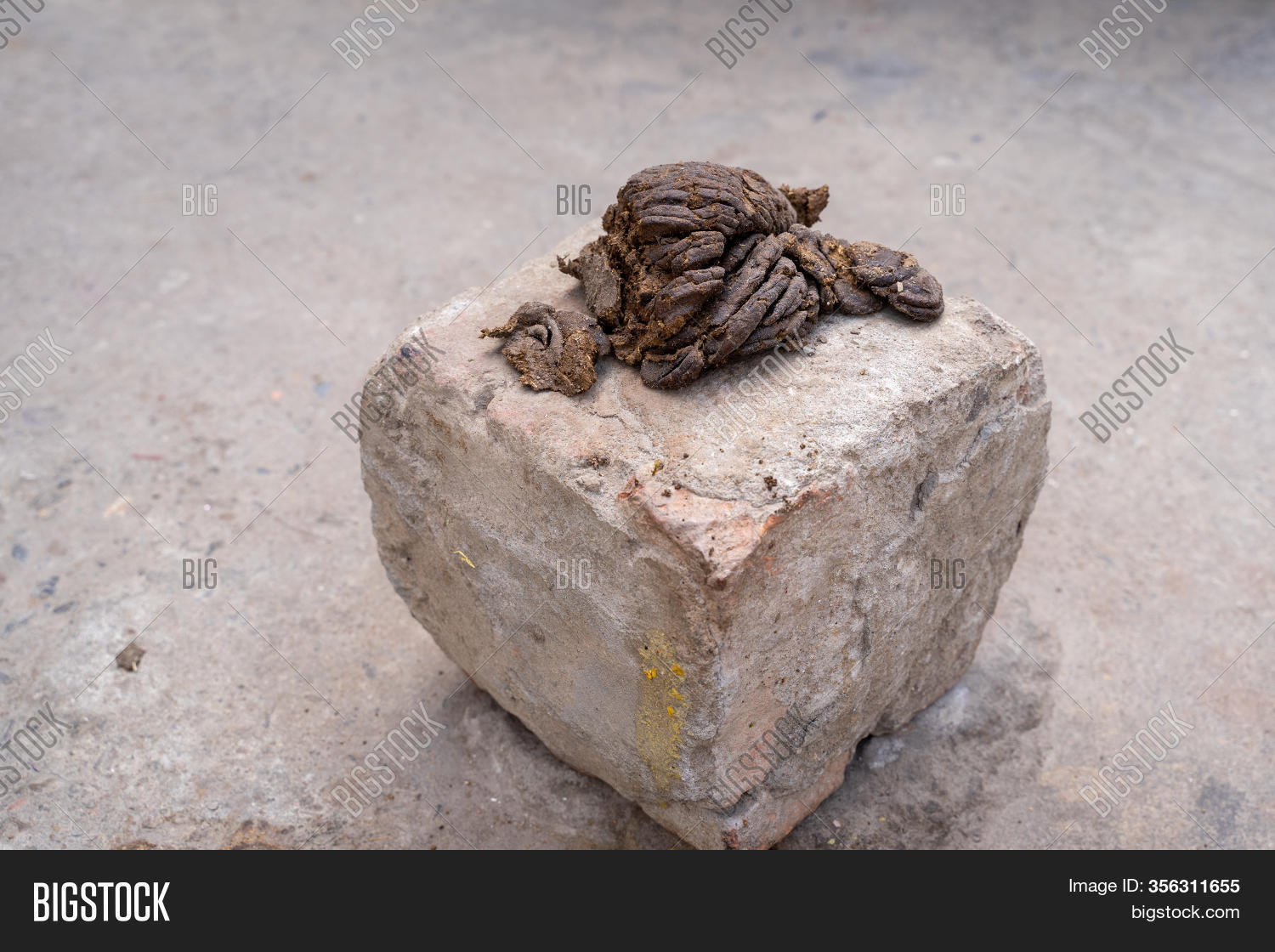 Cow Poop Patties Image & Photo (Free Trial) | Bigstock