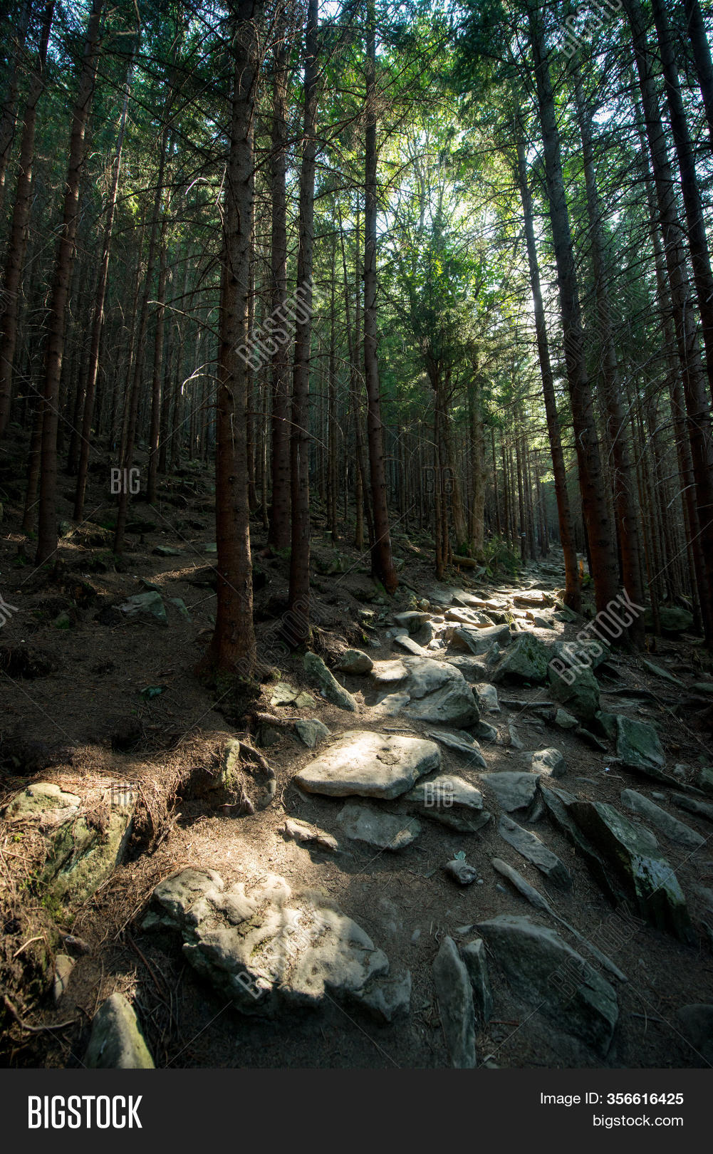 Scenic Stone Road Image & Photo (Free Trial) | Bigstock