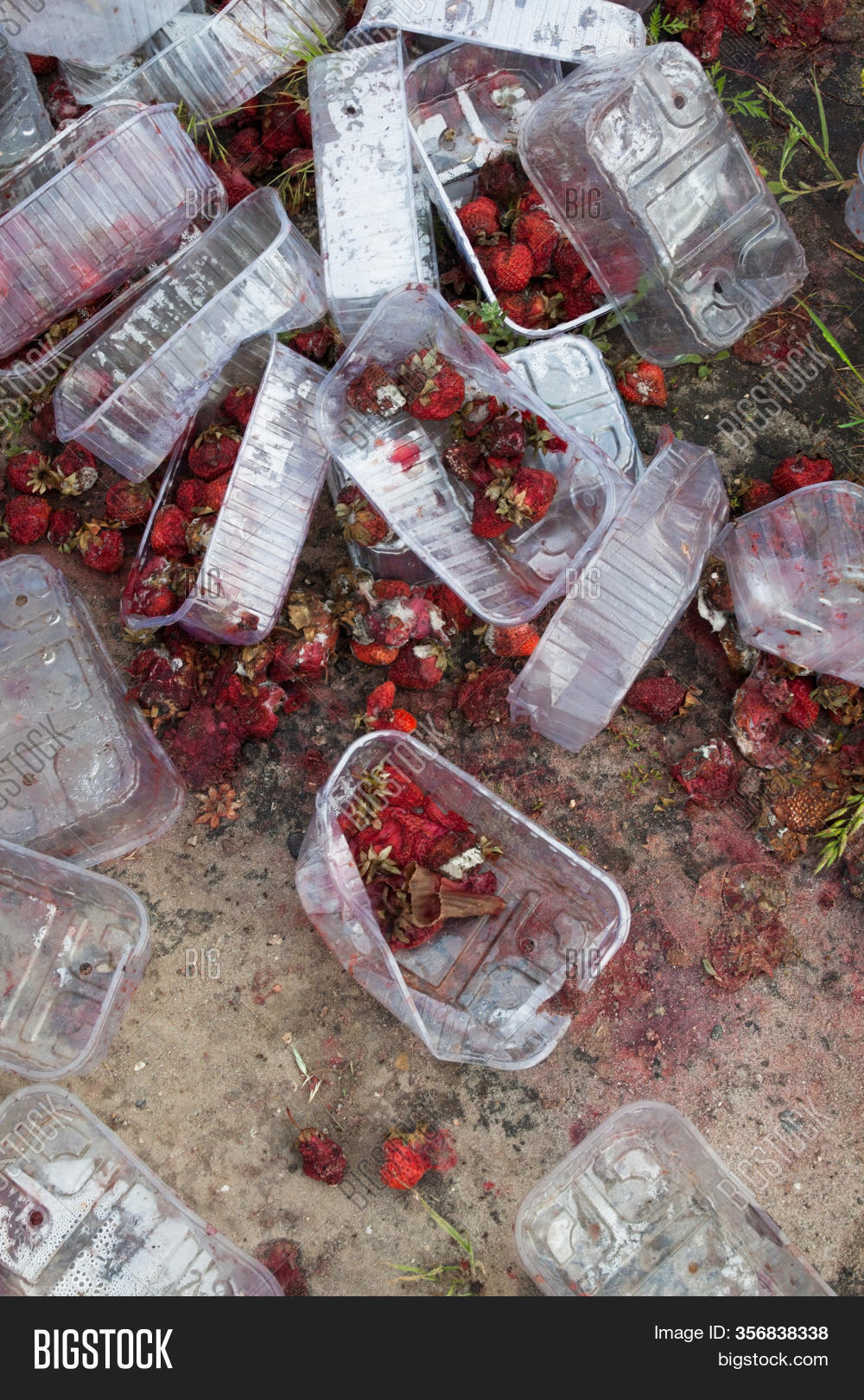 Rotten Garden Image & Photo (Free Trial) | Bigstock