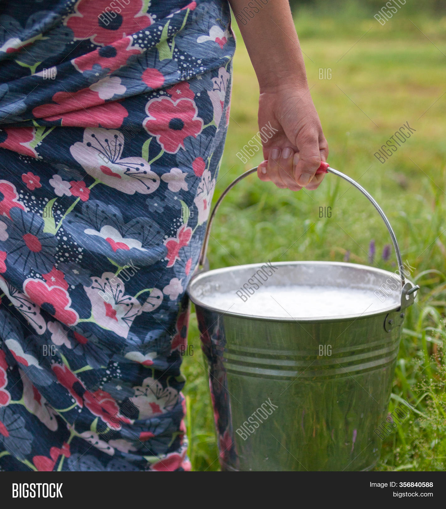 Milkmaid Holding Metal Image & Photo (Free Trial) | Bigstock