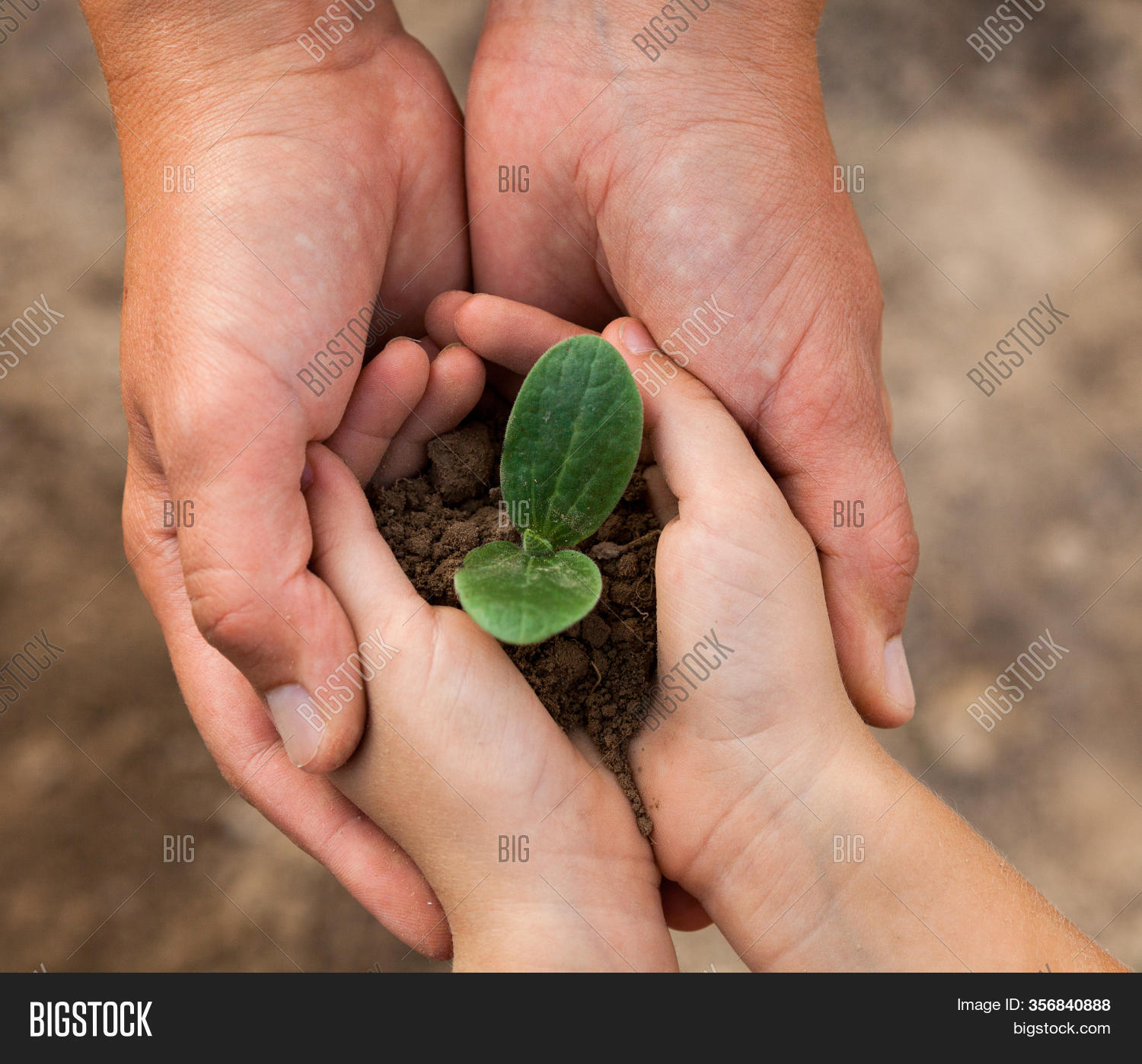 Kid's Grown-'s Hands Image & Photo (Free Trial) | Bigstock