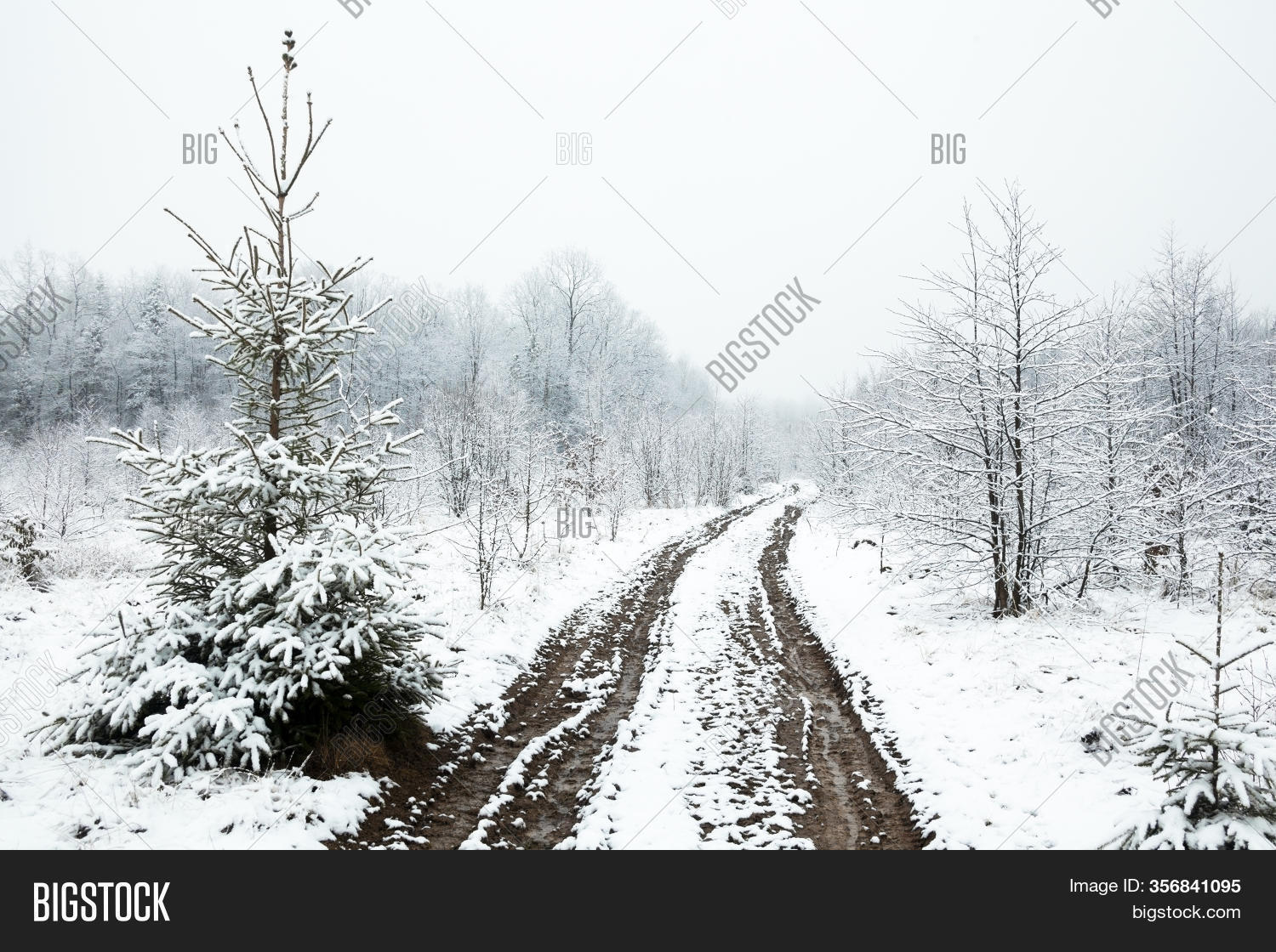 Dirt Road Winter. Image & Photo (Free Trial) | Bigstock