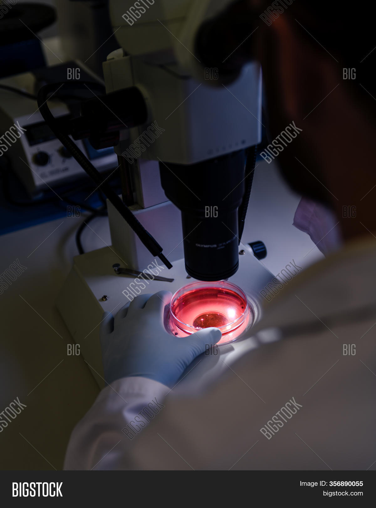 Scientific Handling Image & Photo (Free Trial) | Bigstock