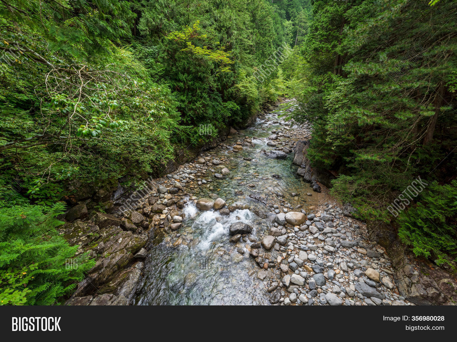 Forest River Landscape Image & Photo (Free Trial) | Bigstock