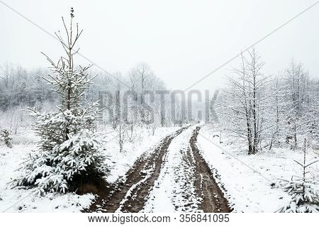 Dirt Road Winter. Image & Photo (Free Trial) | Bigstock