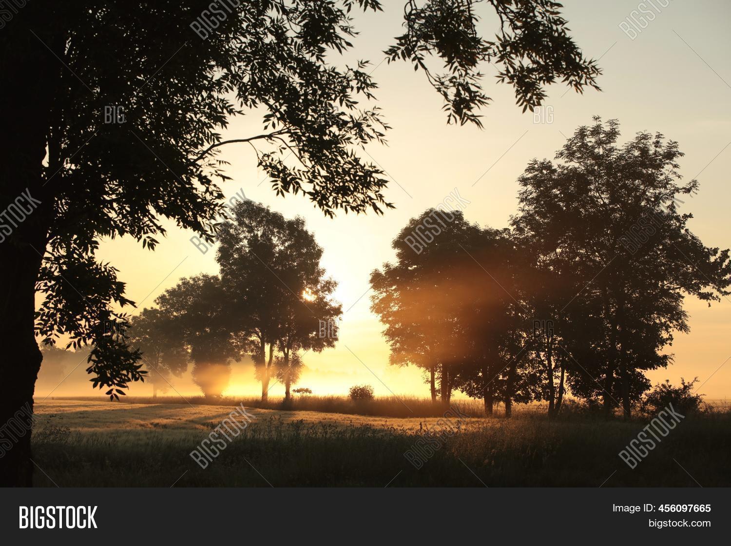 Spring Sunrise Image & Photo (Free Trial) | Bigstock