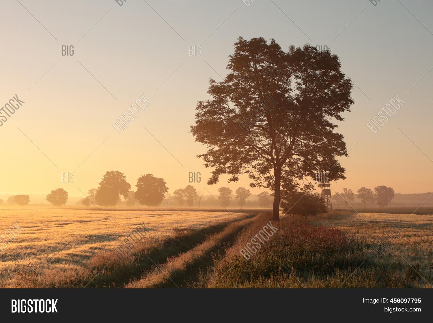 Spring Sunrise Image & Photo (Free Trial) | Bigstock