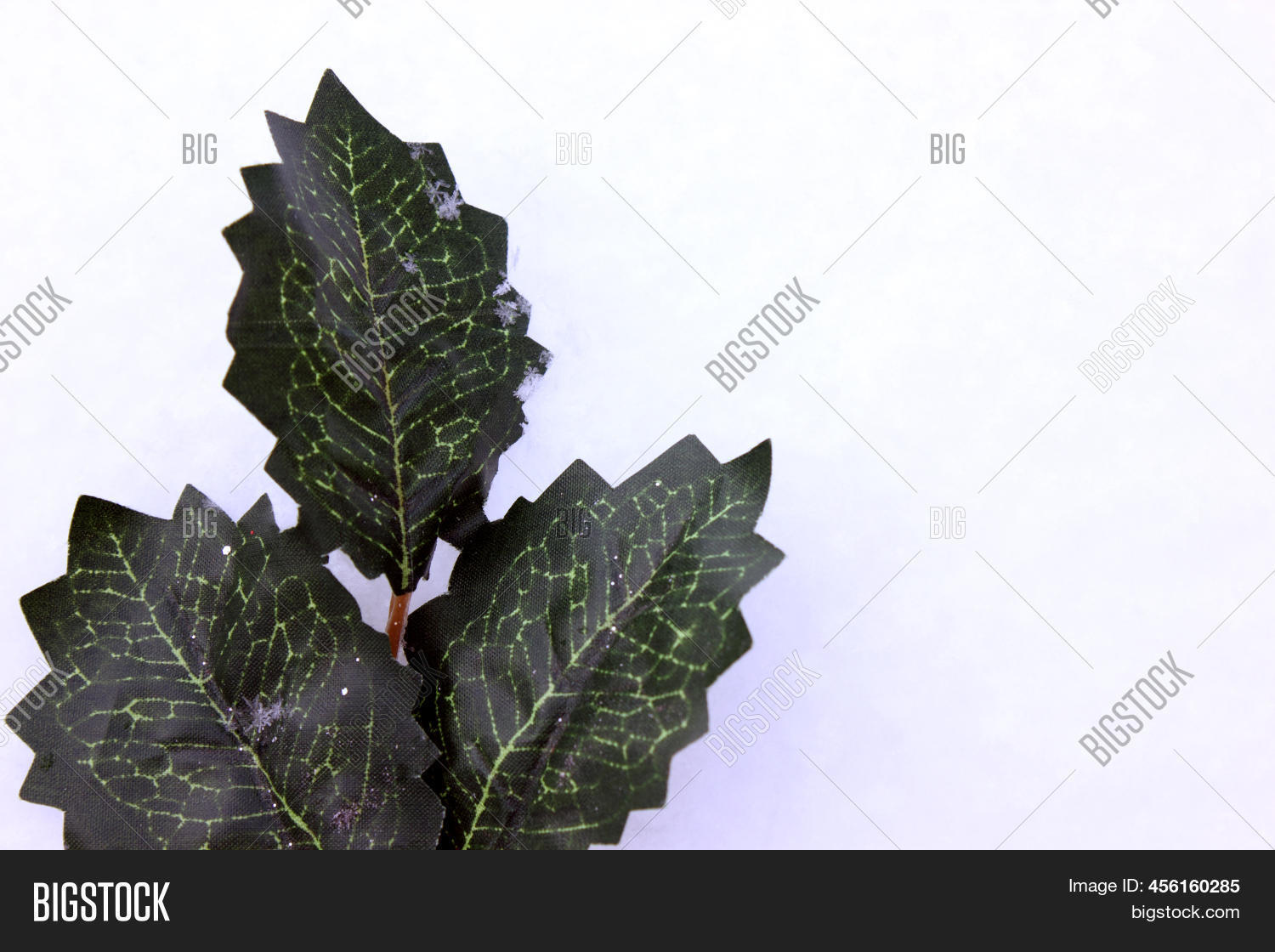 Tree Sheet Highlighted Image & Photo (Free Trial) | Bigstock