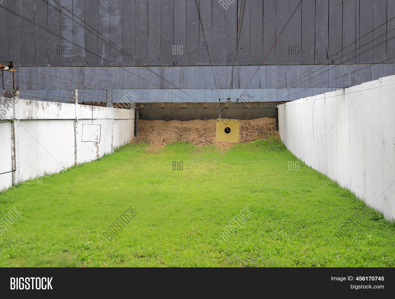 Target Gun Bullet Image & Photo (Free Trial) | Bigstock