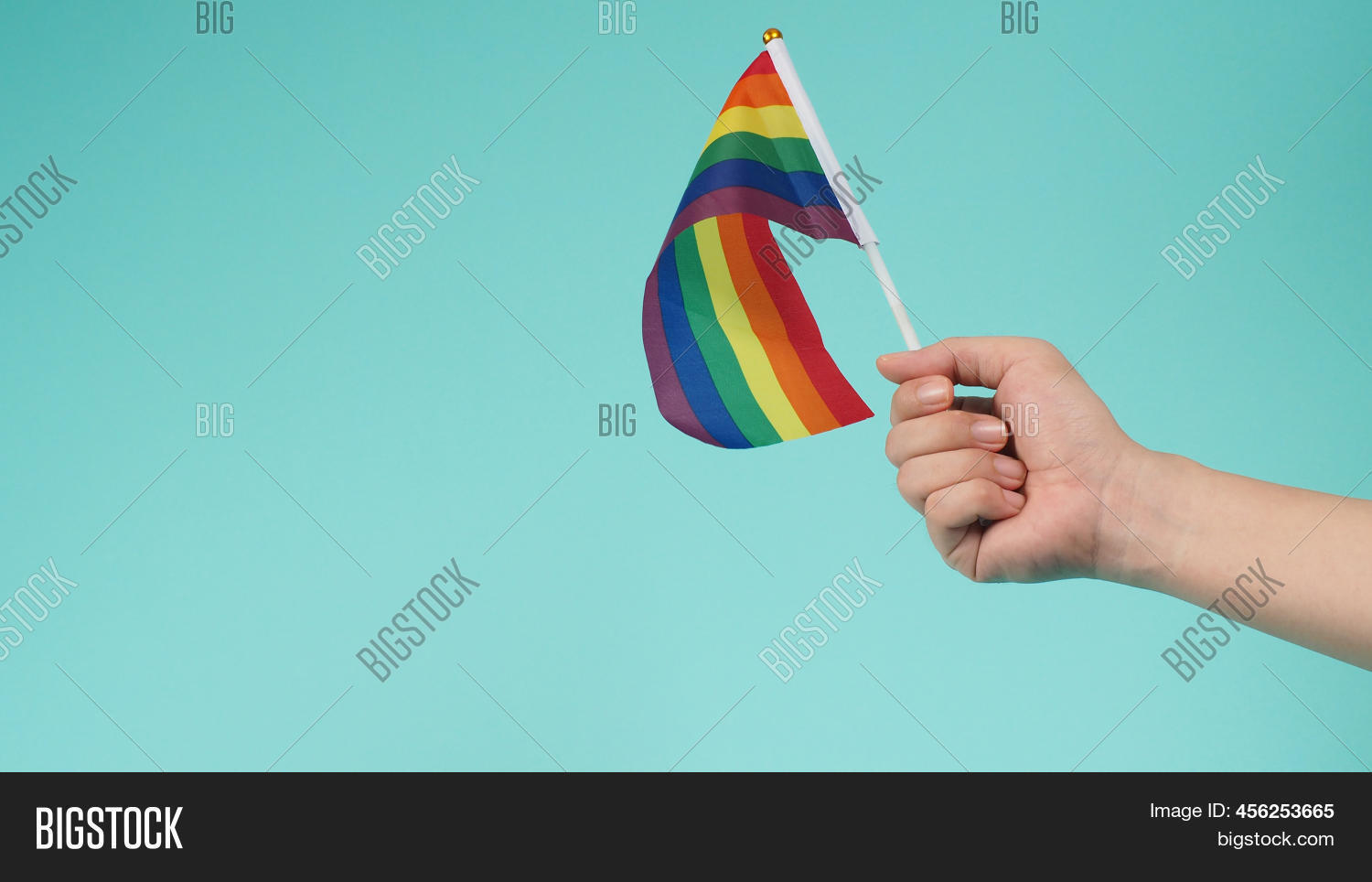 Lgbt Concept.hand Image & Photo (Free Trial) | Bigstock