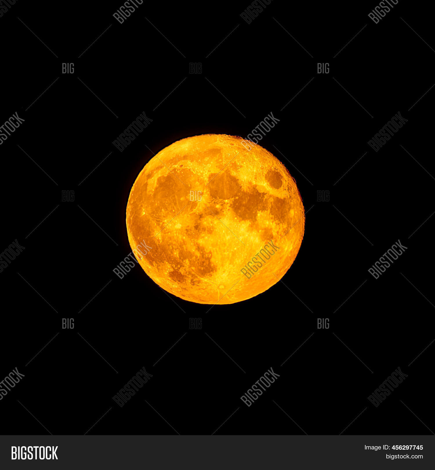 Bright Orange Red Fool Image & Photo (Free Trial) | Bigstock