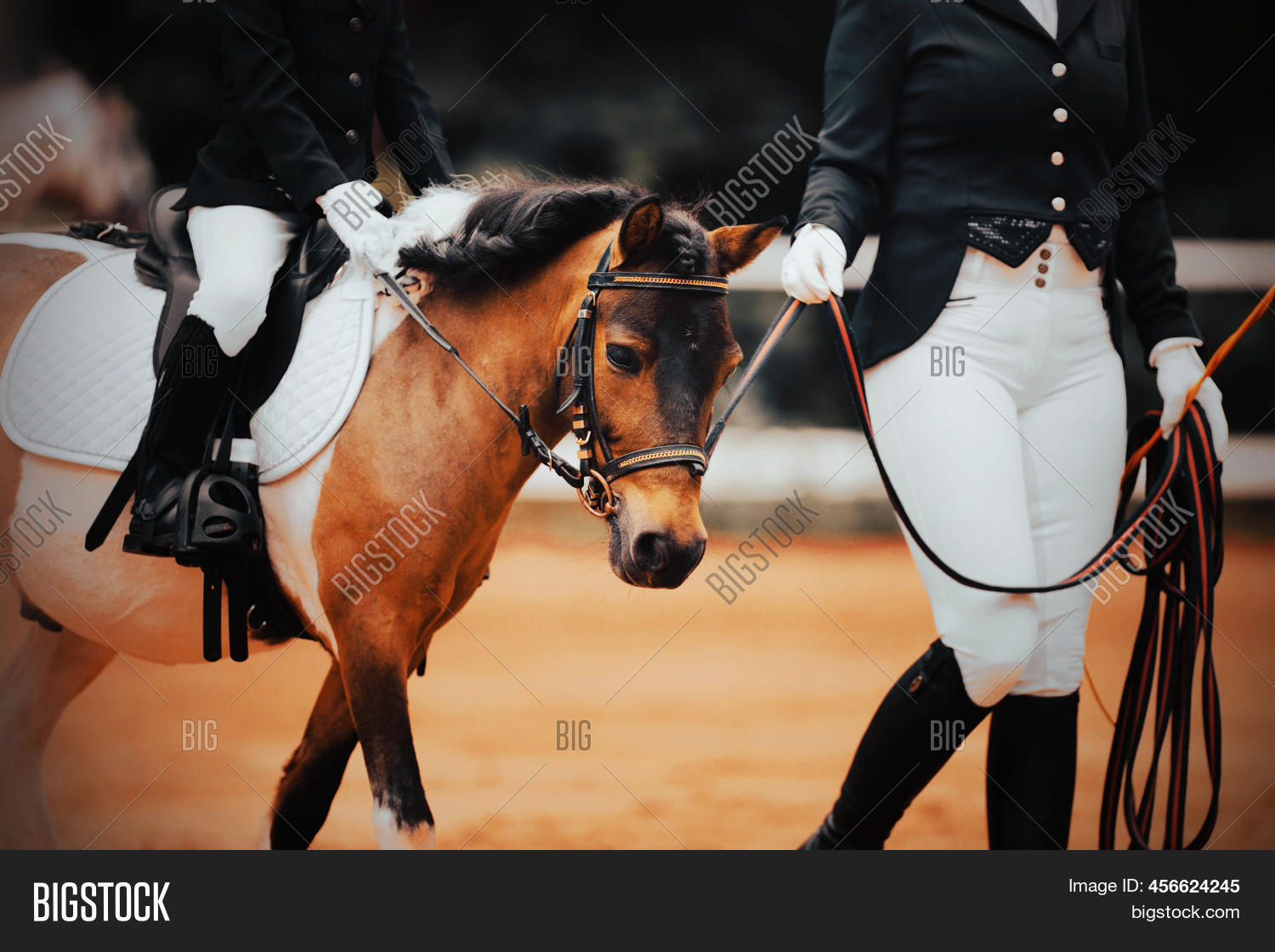 Child Sitting Astride Image & Photo (Free Trial) | Bigstock
