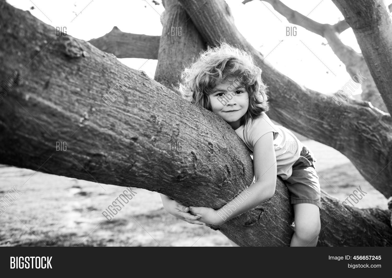 Child Climbing Tree. Image & Photo (Free Trial) | Bigstock