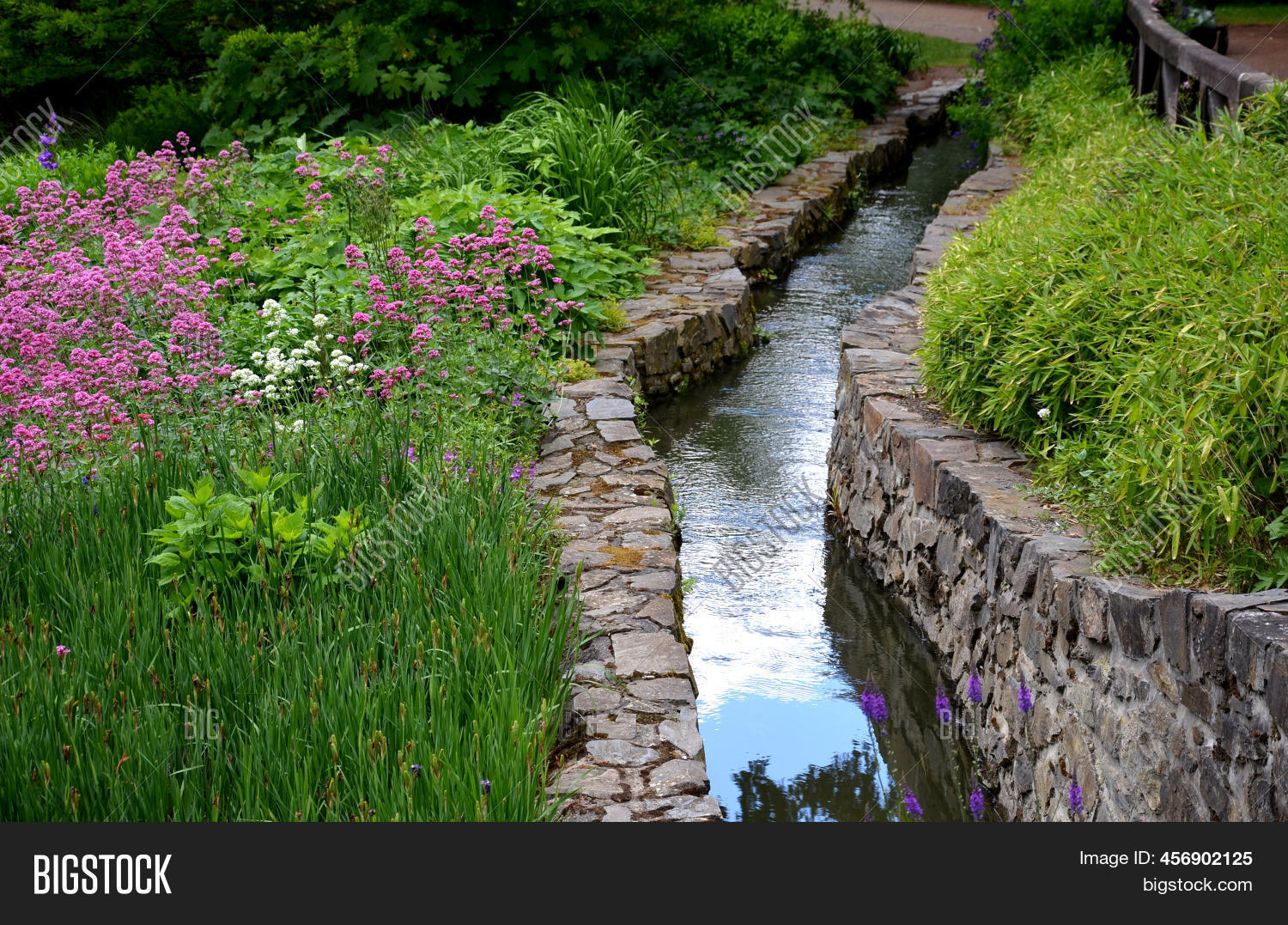 Garden Shady Nature By Image & Photo (Free Trial) | Bigstock