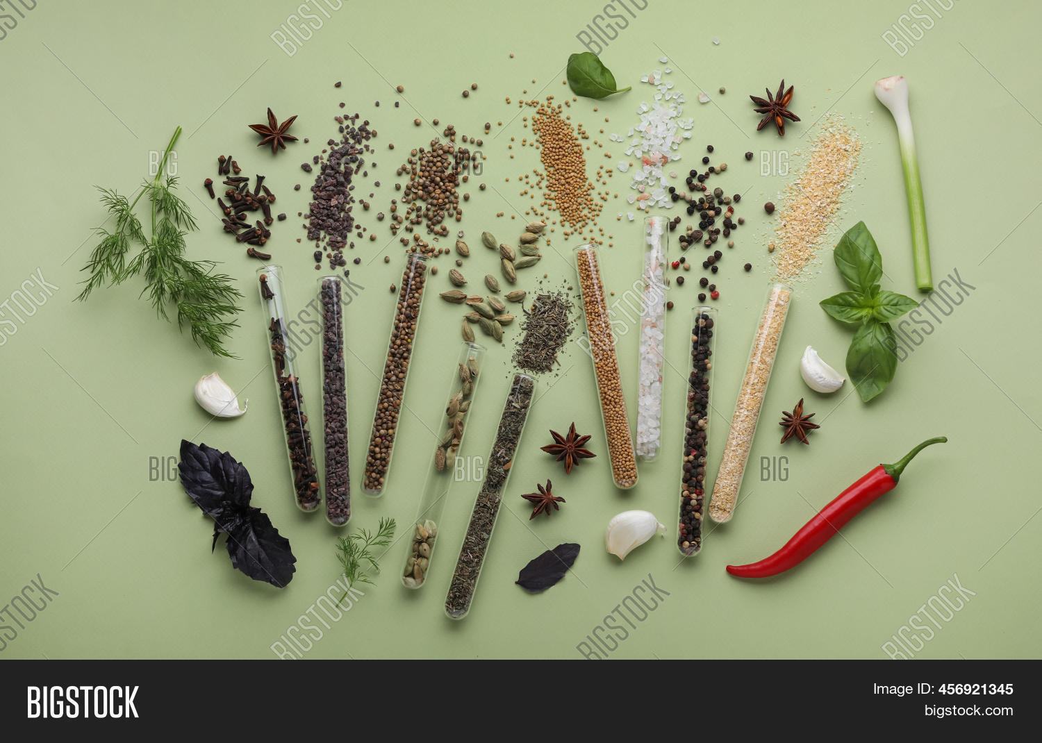 Flat Lay Composition Image & Photo (Free Trial) | Bigstock