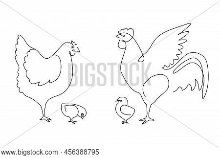 One Line Chicken Vector & Photo (Free Trial) | Bigstock