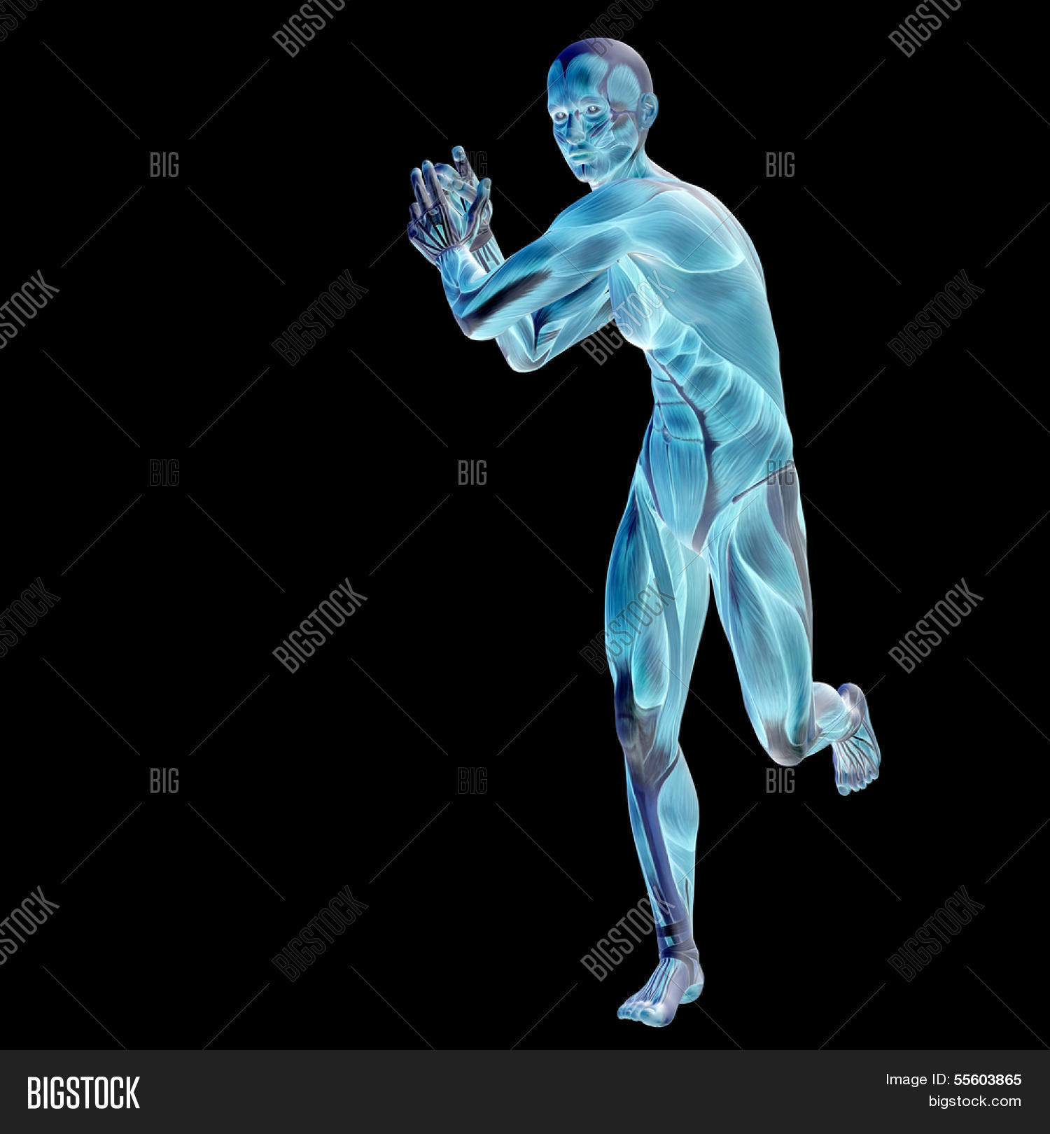 3D Human Man Muscles Image & Photo (Free Trial) | Bigstock