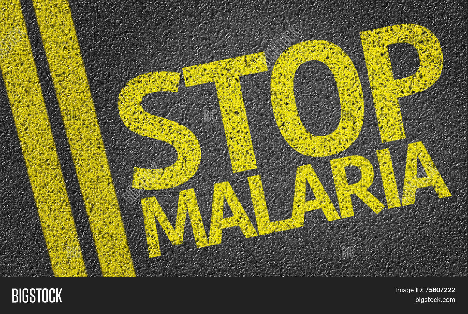 Stop Malaria Written Image & Photo (Free Trial) | Bigstock