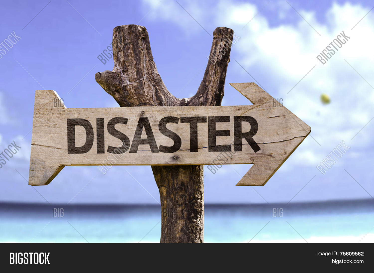 Disaster Wooden Sign Image & Photo (Free Trial) | Bigstock