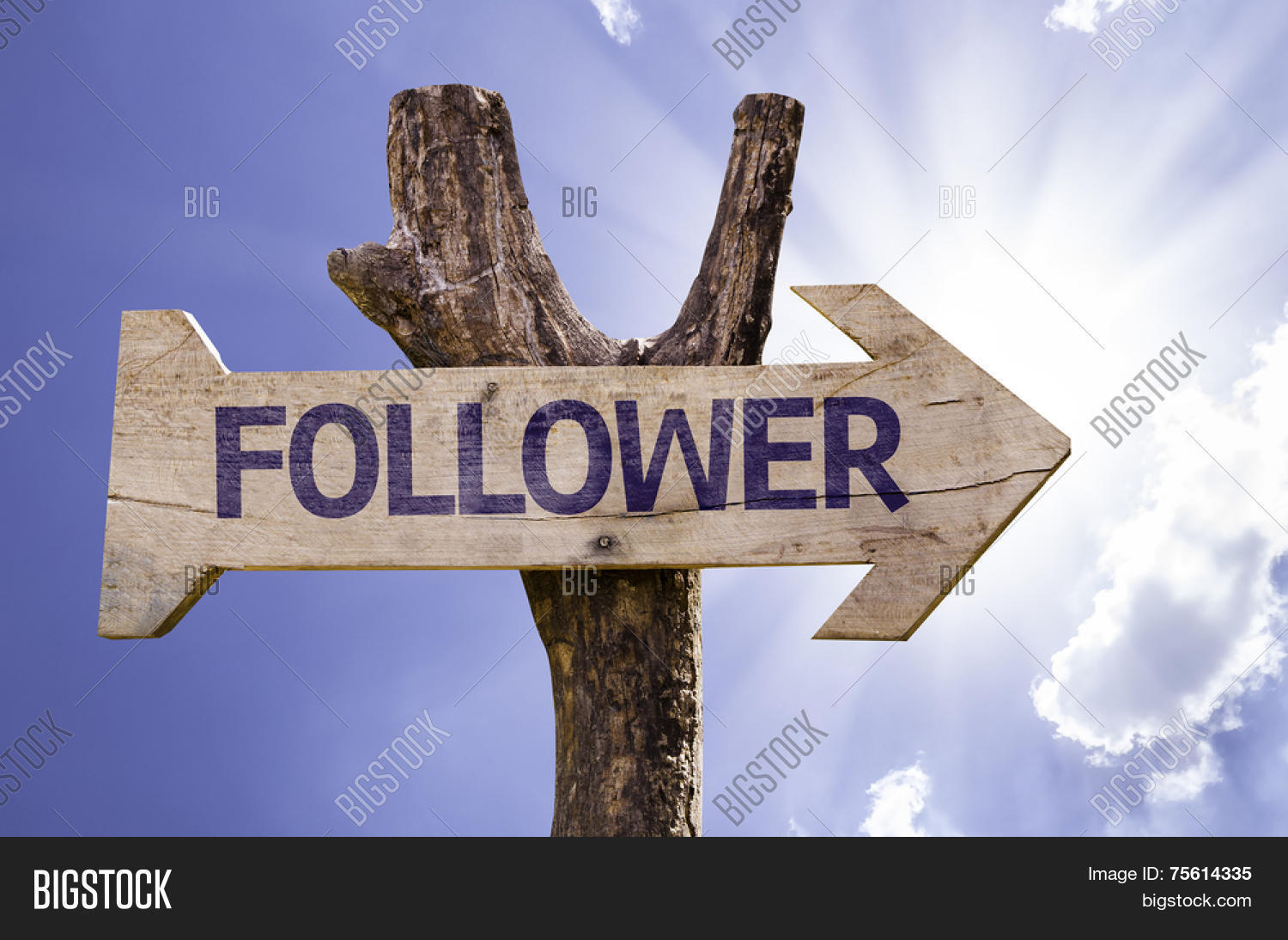 Follower Wooden Sign Image & Photo (Free Trial) | Bigstock