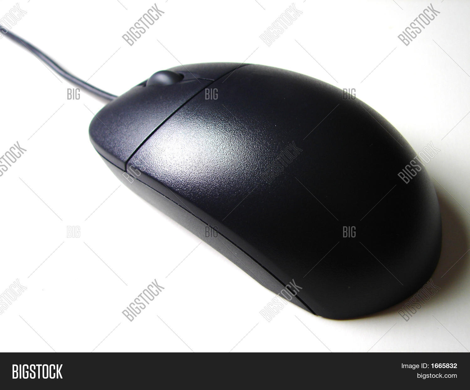 Black Mouse Image & Photo (Free Trial) | Bigstock