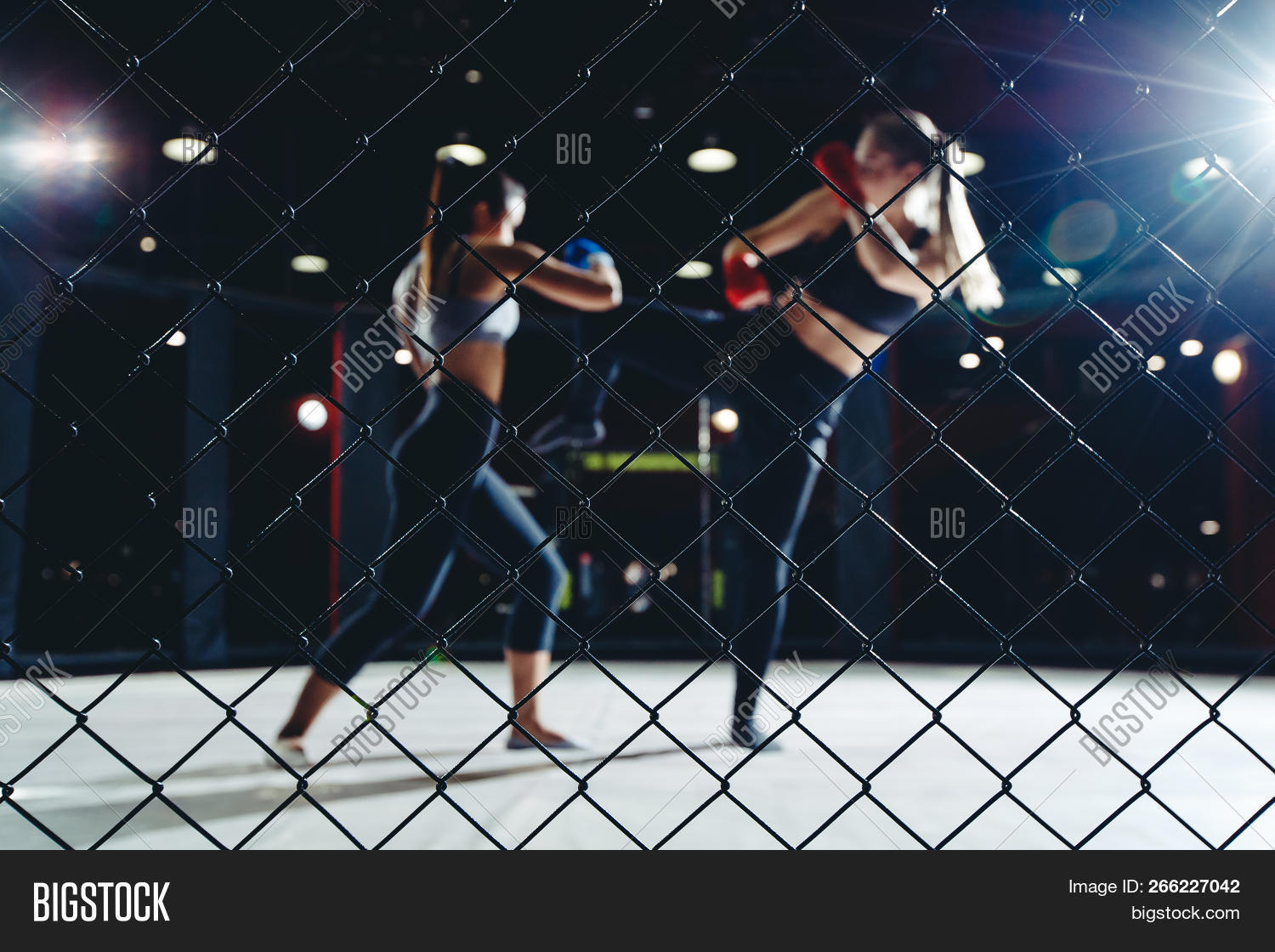 Mma Fight Boxing Woman Image & Photo (Free Trial) | Bigstock