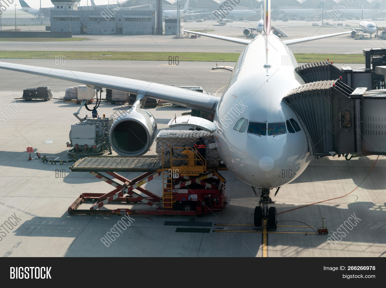 Loading Cargo On Plane Image & Photo (Free Trial) | Bigstock