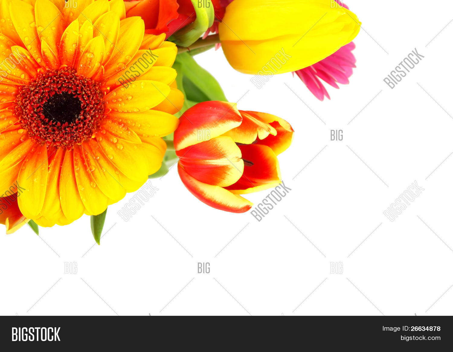 Bouquet Spring Flowers Image & Photo (Free Trial) | Bigstock