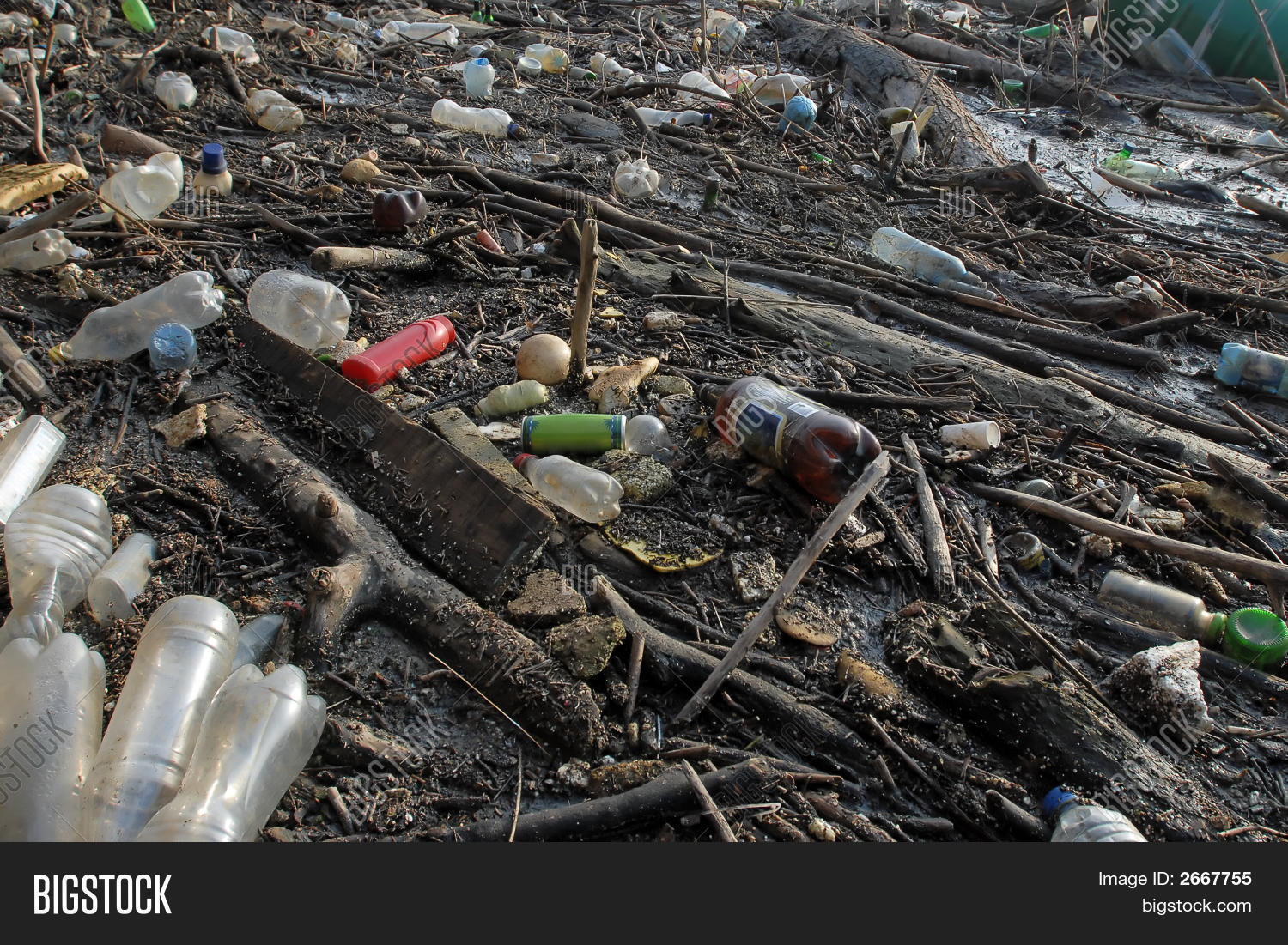 Dangerous Toxic Waste Image & Photo (Free Trial) | Bigstock