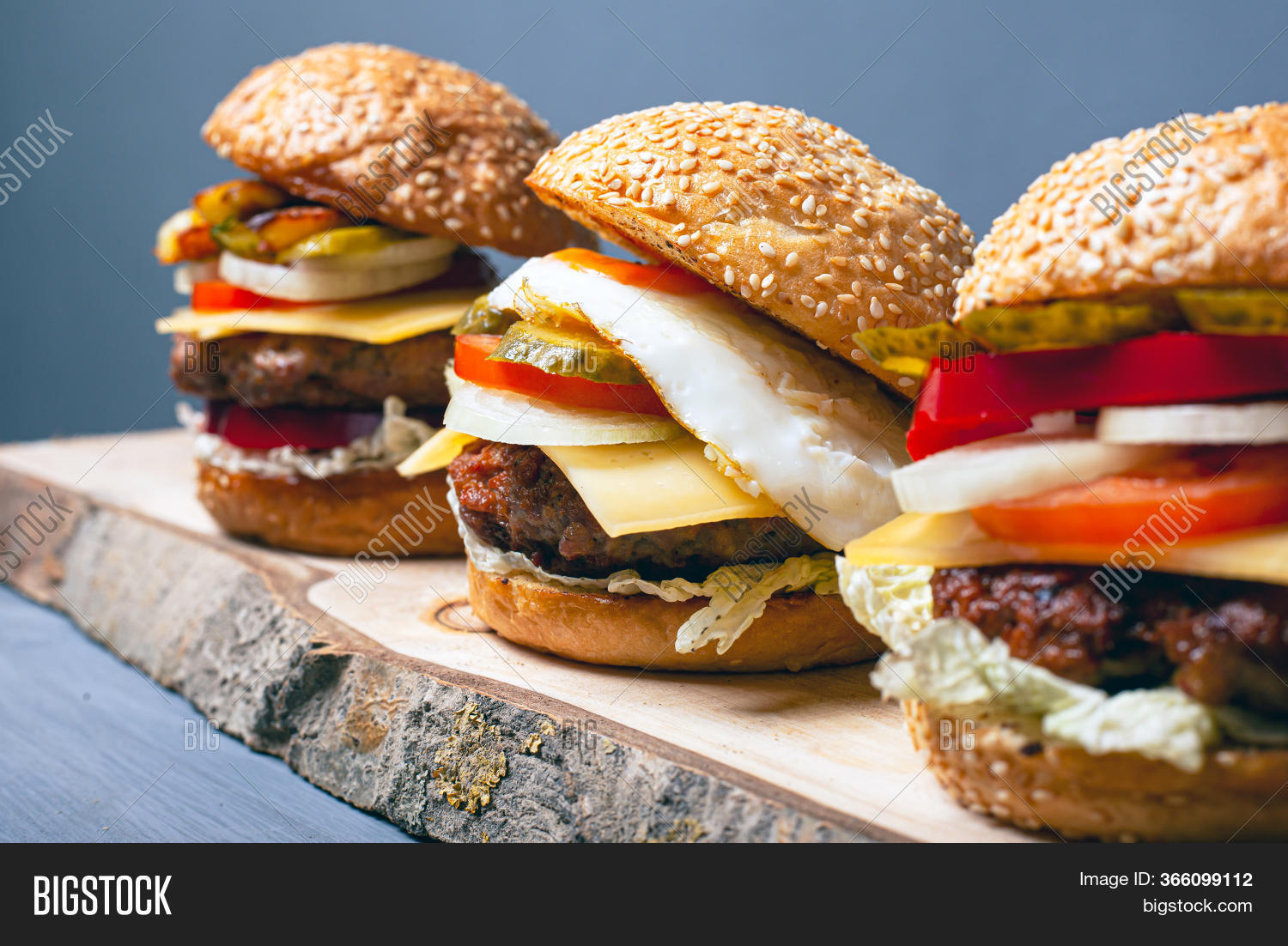 3 Different Burgers On Image & Photo (Free Trial) | Bigstock