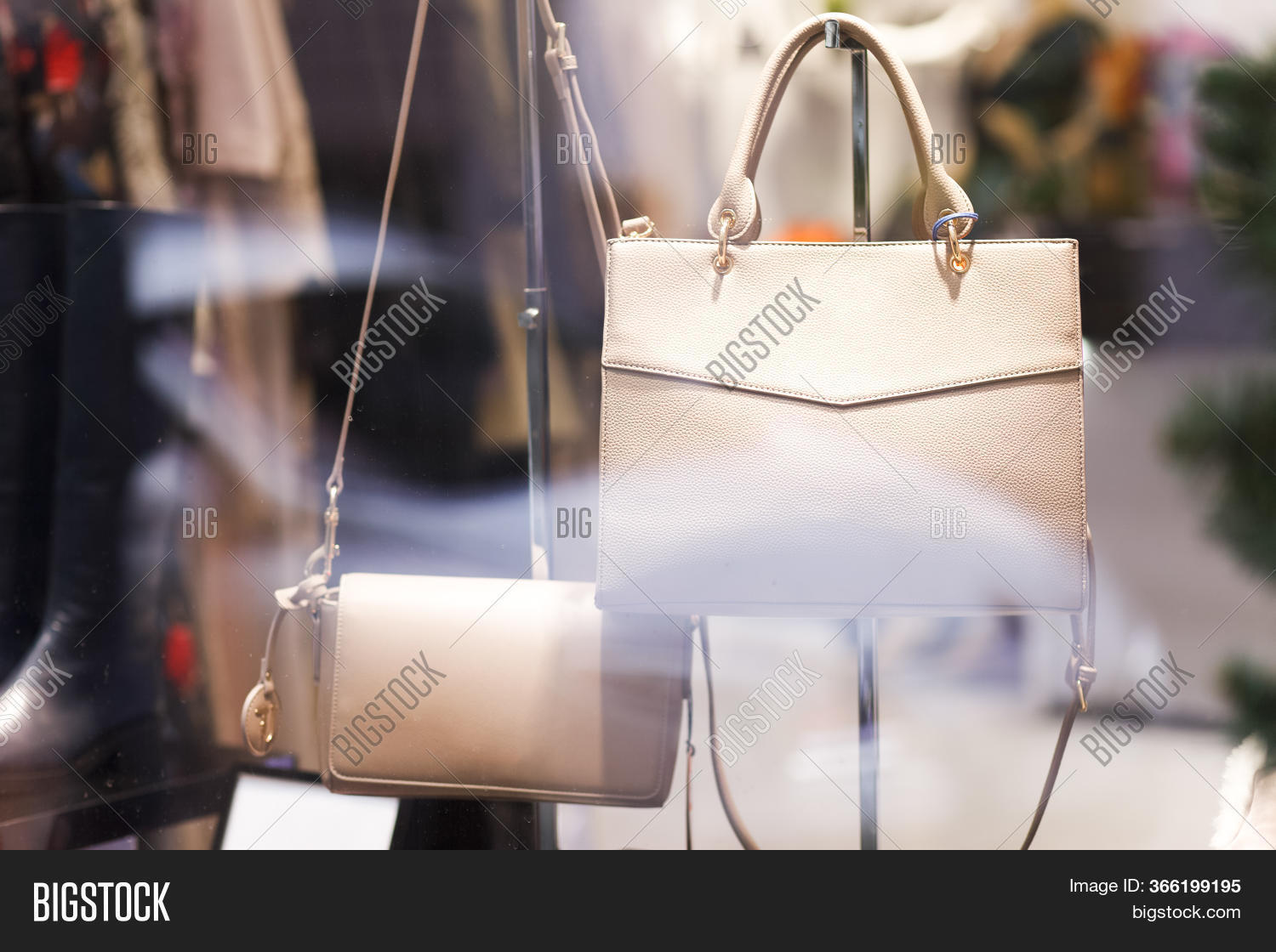 Showcase Women's Image & Photo (Free Trial) | Bigstock