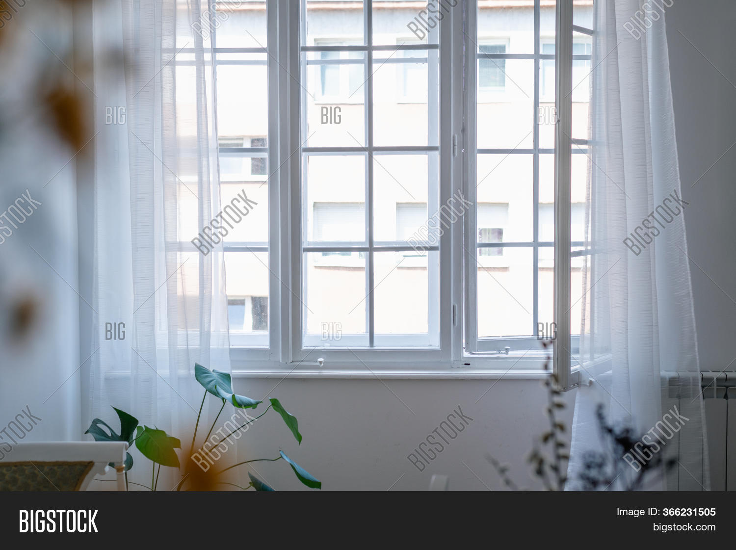 View Through A Window