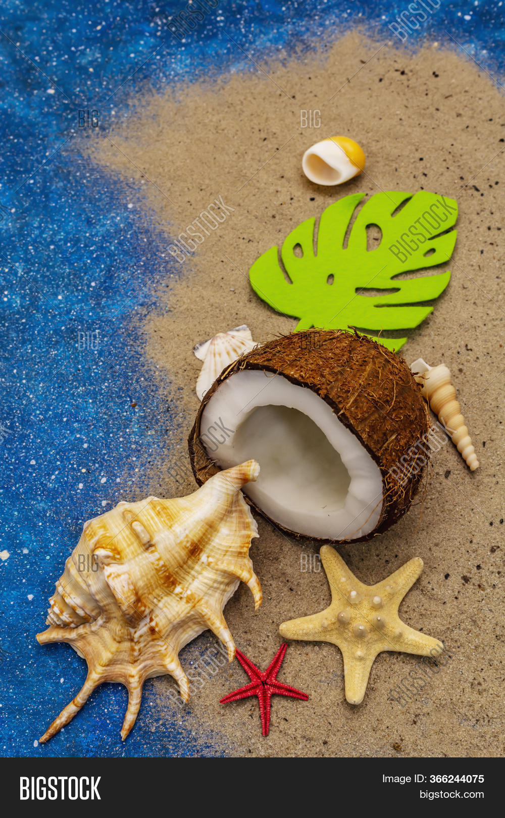 Seashells Summer Image & Photo (Free Trial) | Bigstock