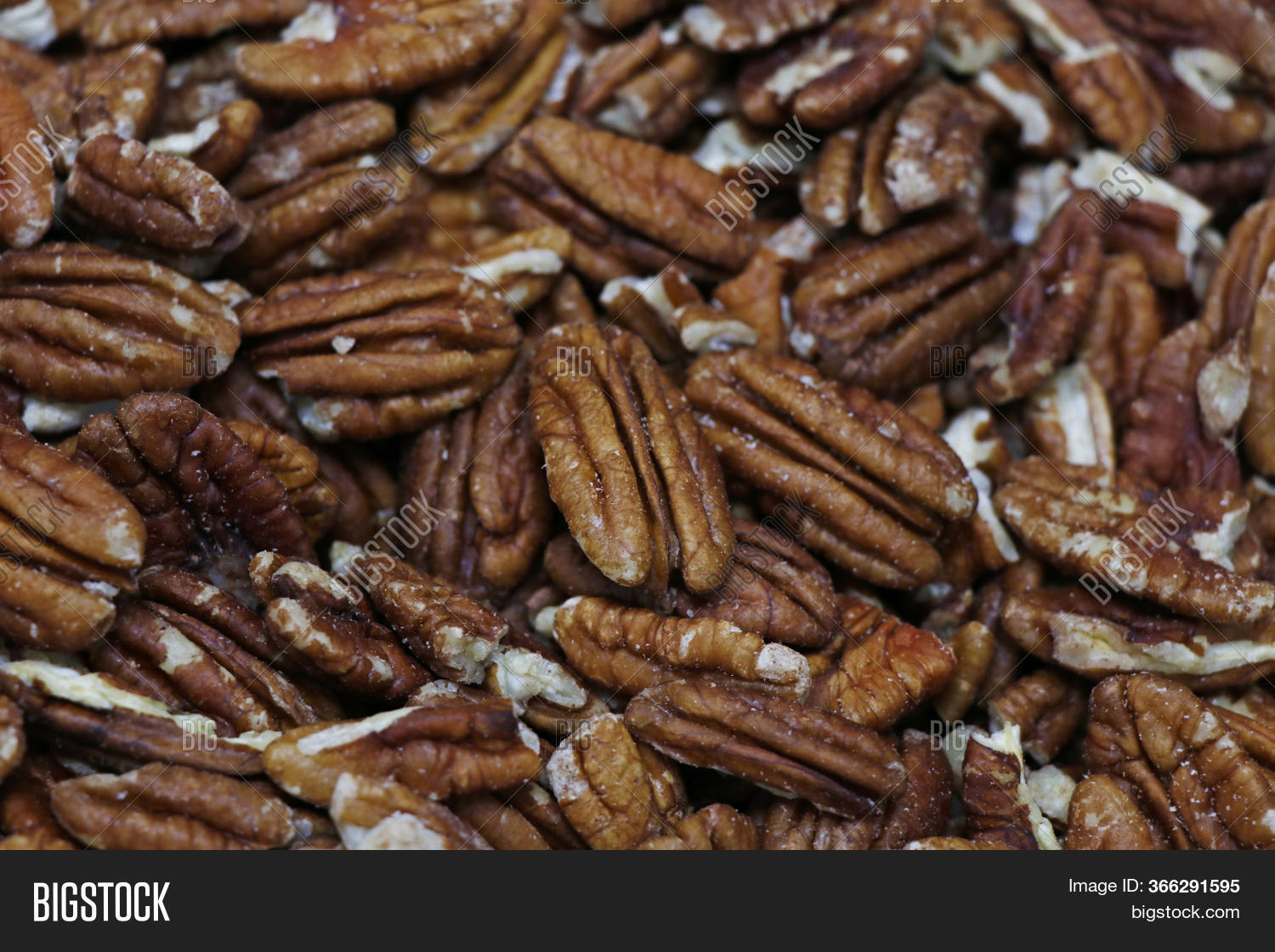 Lots Raw Organic Pecan Image & Photo (Free Trial) | Bigstock