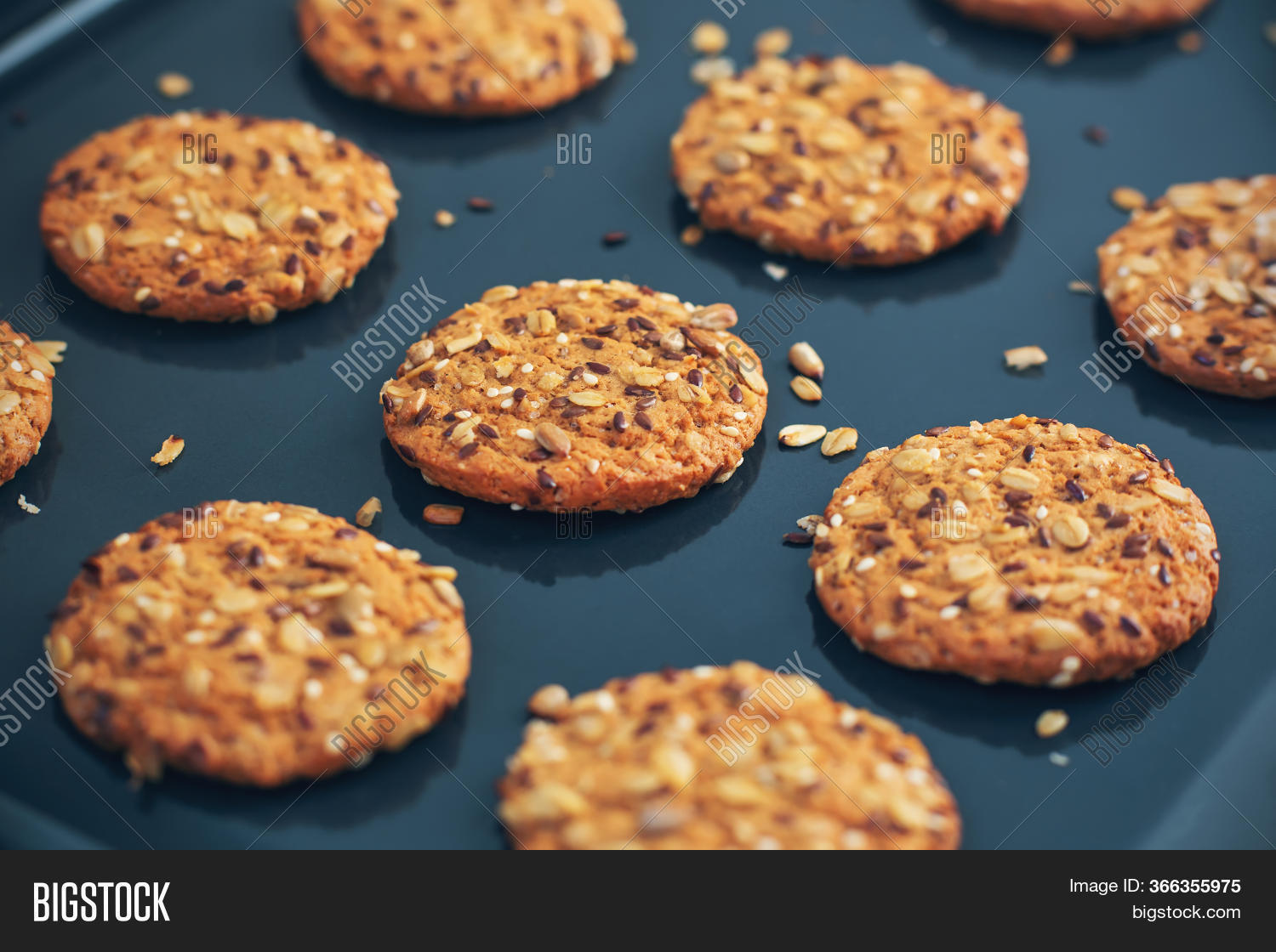 Homemade Oatmeal Round Image & Photo (Free Trial) | Bigstock