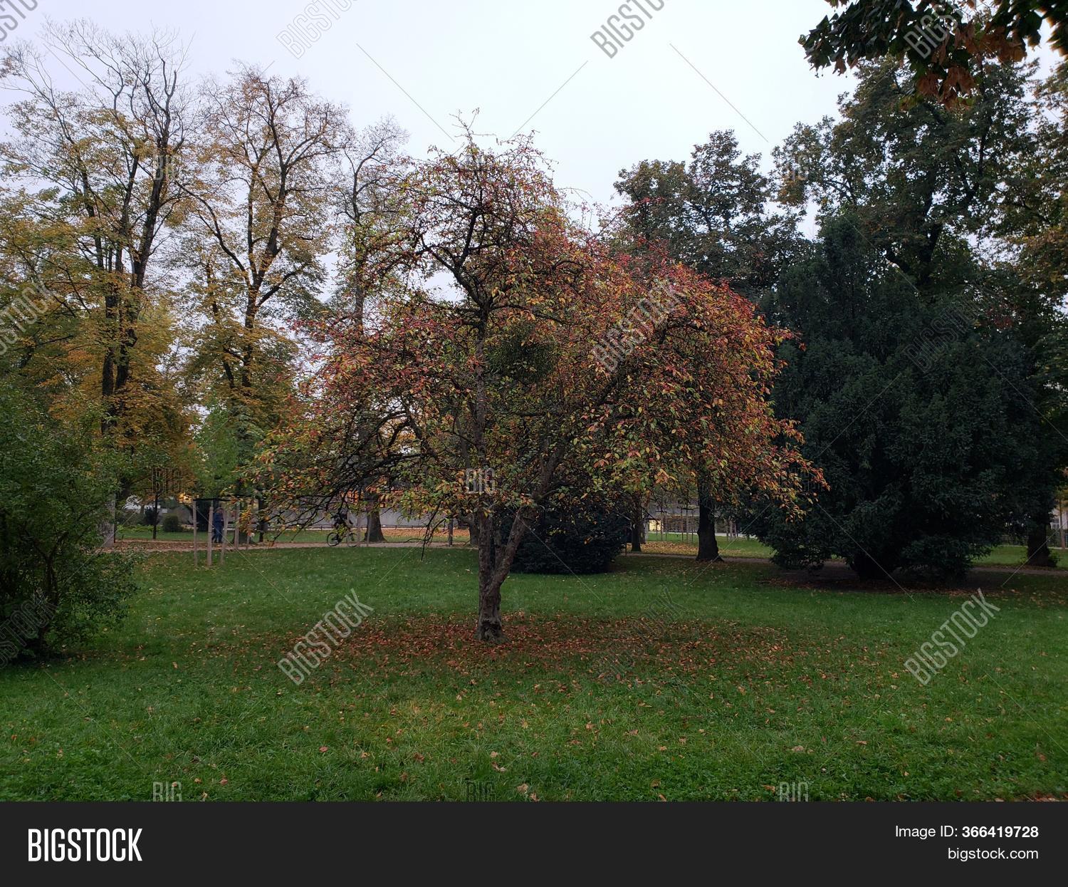 Landscape Temperate Image & Photo (Free Trial) | Bigstock