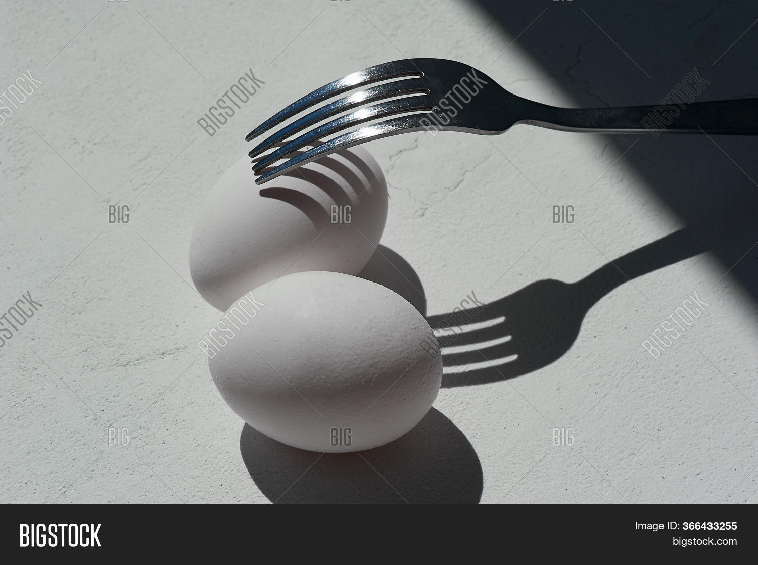 Egg Shadow Fork. Image & Photo (Free Trial) | Bigstock