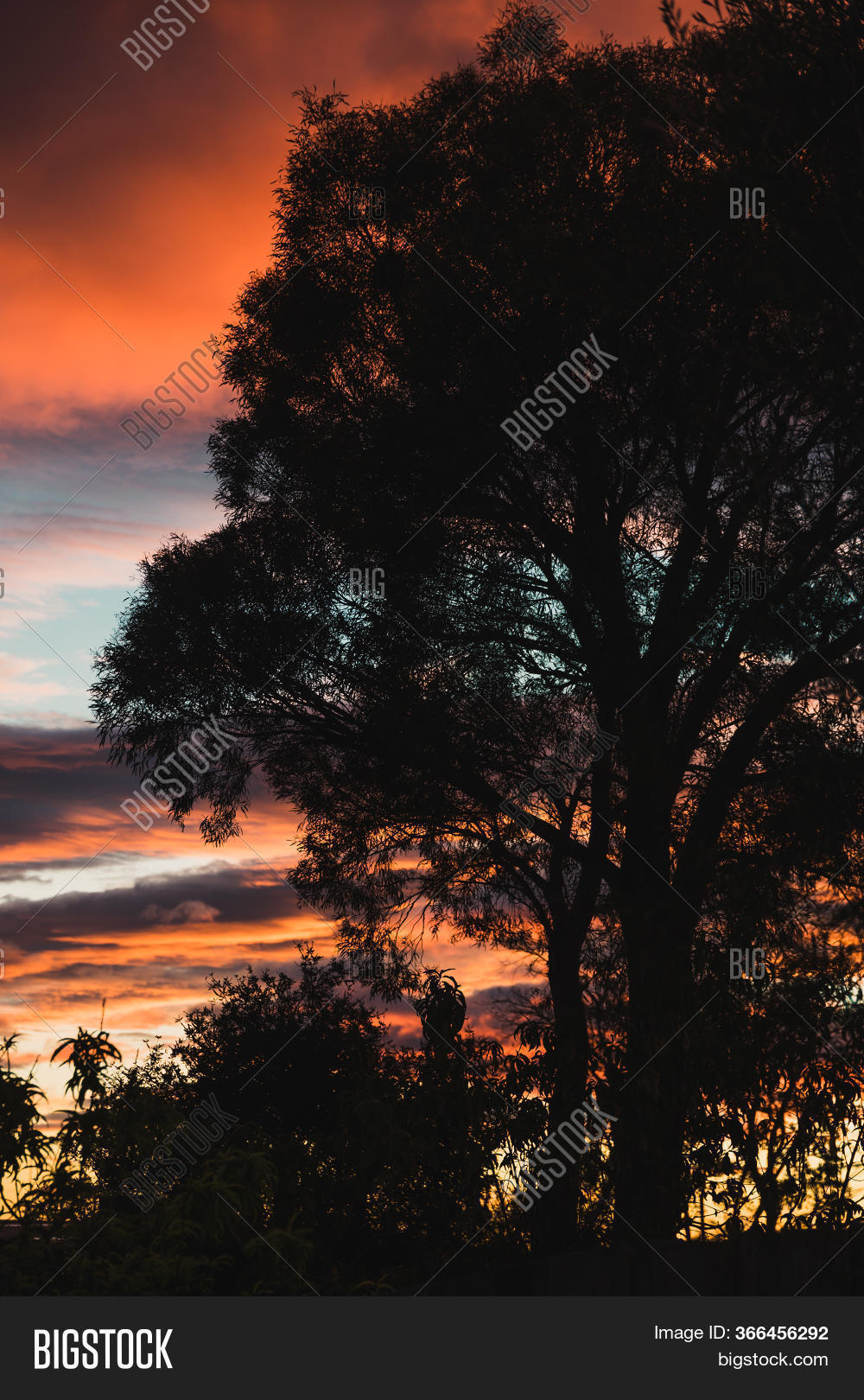 Pink Sunrise Beautiful Image & Photo (Free Trial) | Bigstock