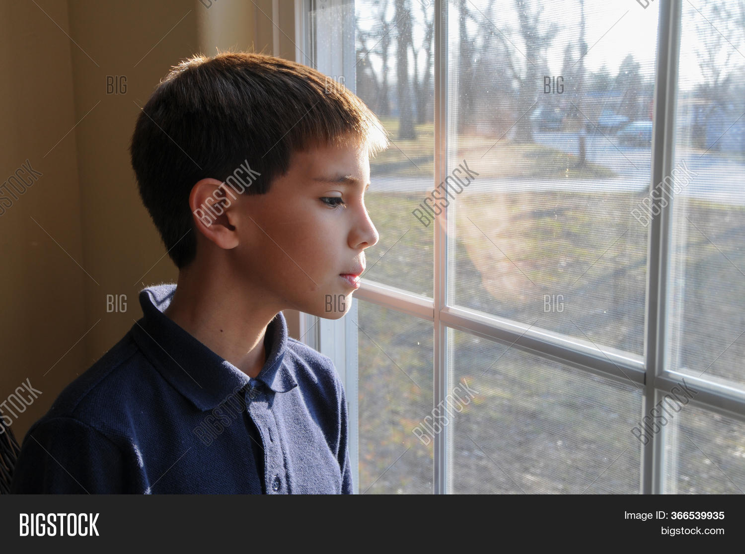 Young Boy Looking Out Image & Photo (Free Trial) | Bigstock