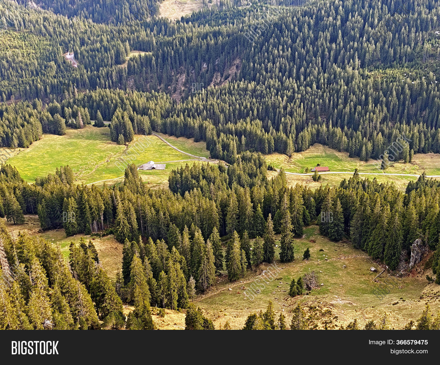 Alpine Pastures Image & Photo (Free Trial) | Bigstock