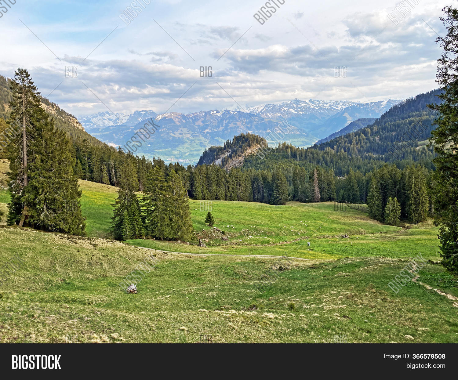 Alpine Pastures Image & Photo (Free Trial) | Bigstock