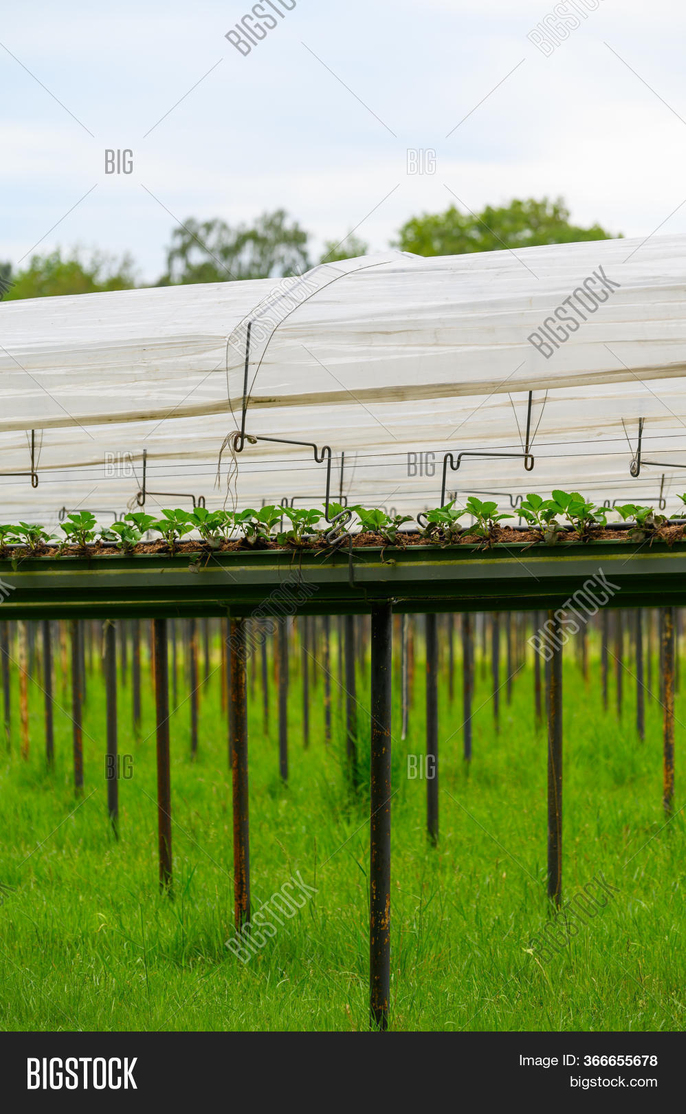 Bio Farming Image & Photo (Free Trial) | Bigstock