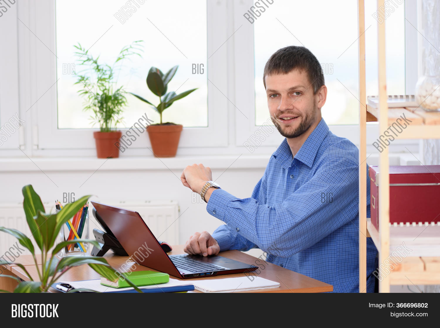 Business Man Checks Image & Photo (Free Trial) | Bigstock