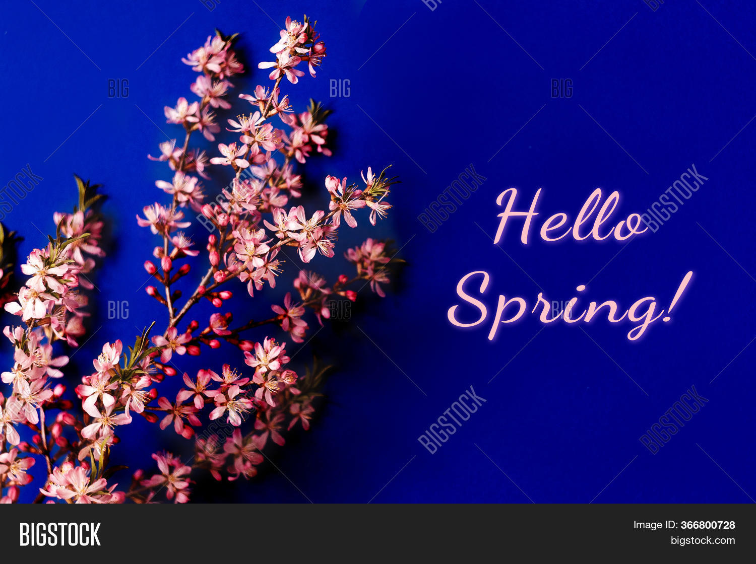 Hello Spring Text Image & Photo (Free Trial) | Bigstock