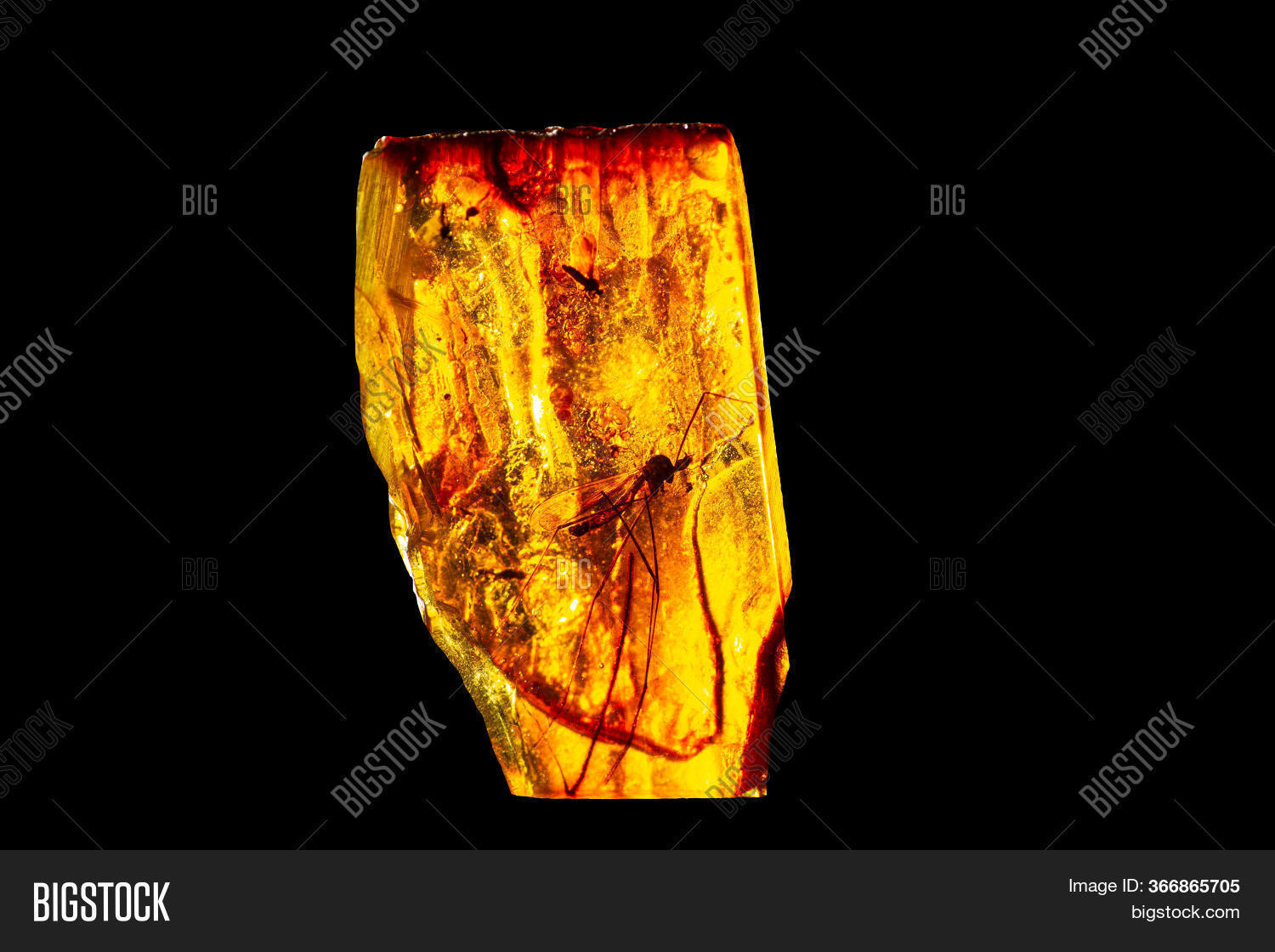 Amazing Baltic Amber Image & Photo (Free Trial) | Bigstock