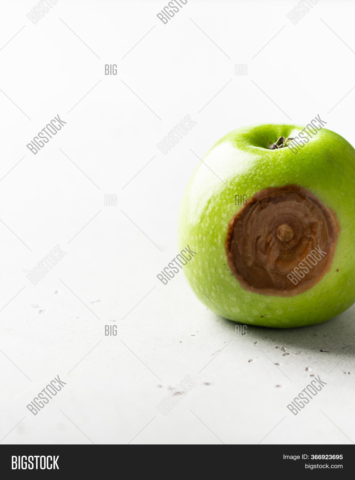 Rotten Green Apple Image & Photo (Free Trial) | Bigstock