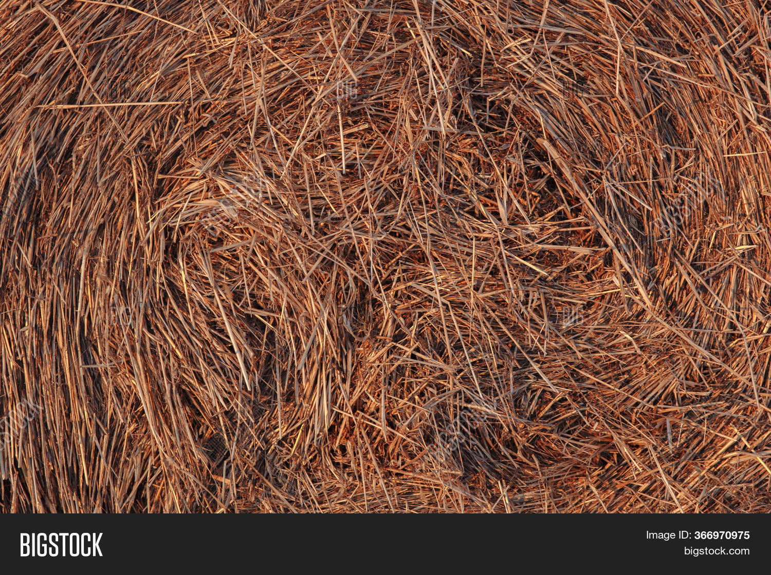 Texture Haystack Rays Image & Photo (Free Trial) | Bigstock