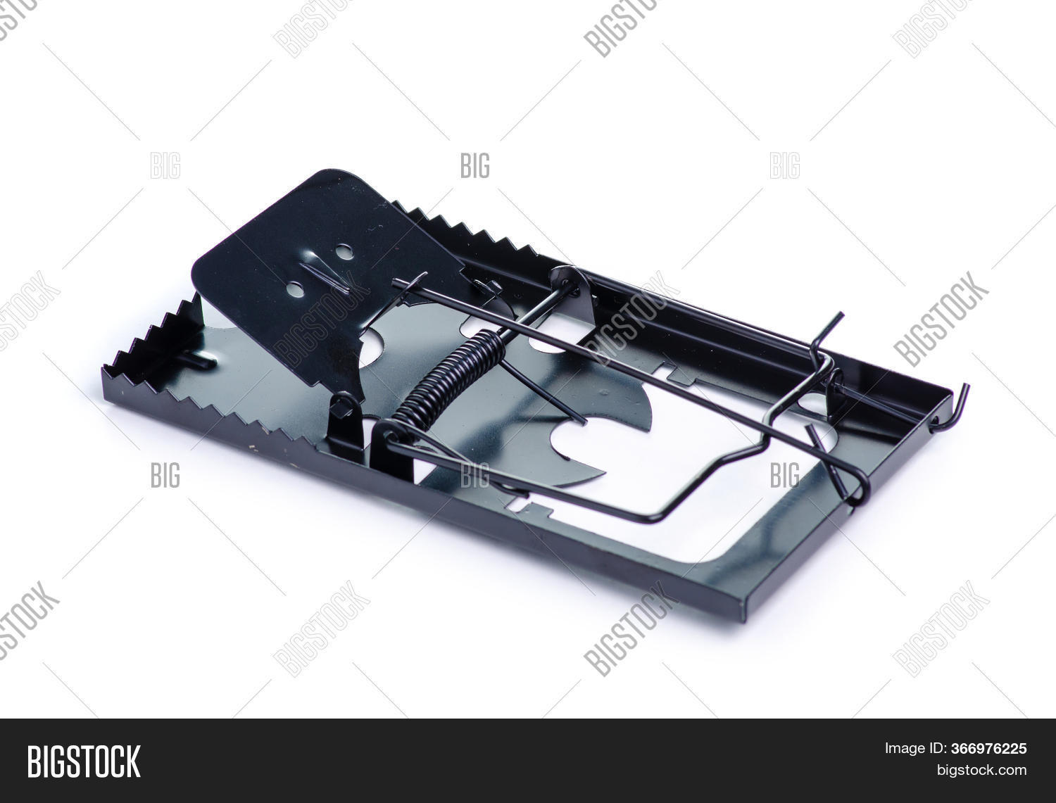 Mousetrap Danger Image & Photo (Free Trial) | Bigstock