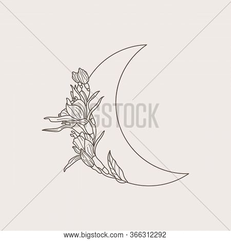 Crescent Moon Flowers Vector & Photo (Free Trial) | Bigstock